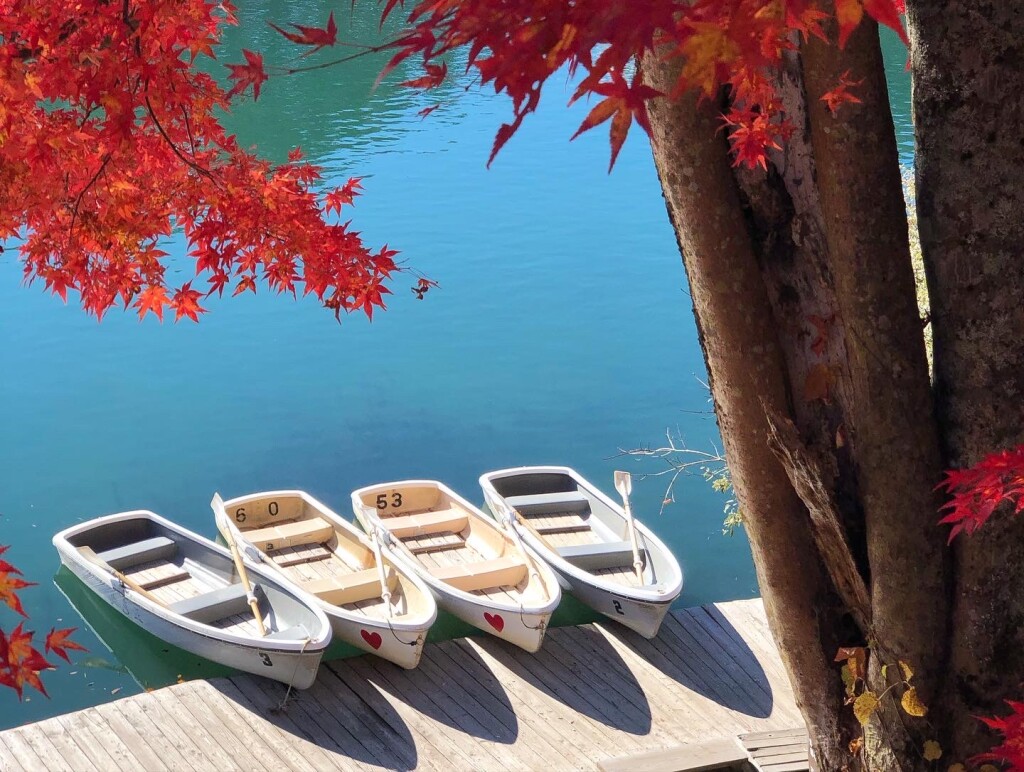 7 Ways to Enjoy the Goshiki-numa Ponds - Fukushima Travel