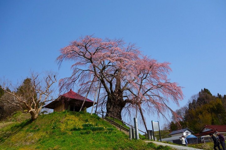 Azuma Sports Park - Destinations - Fukushima Travel
