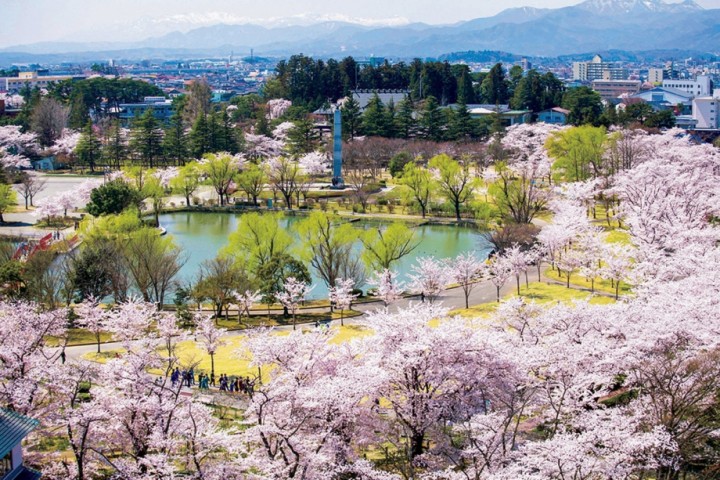 Official Fukushima Travel Info - Fukushima Travel