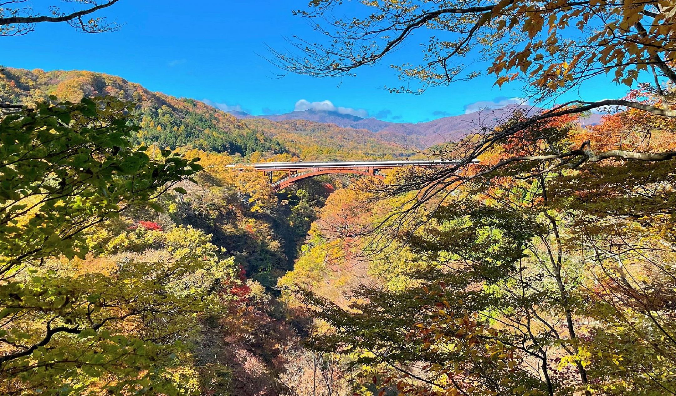 Miharu Takizakura - Destinations - Fukushima Travel